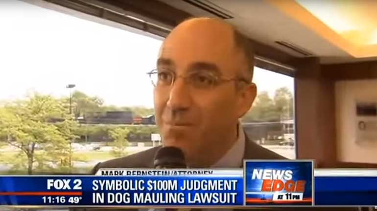 Michigan Personal Injury & Medical Malpractice Lawyer | Sam Bernstein ...